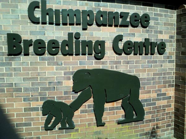 Phallic Logo Adwards - Chimpanzee Breeding Centre - Lazer Horse