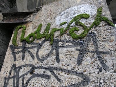 Moss Graffiti: Environmentally Sound Street Art (How-To Guide) • Lazer ...