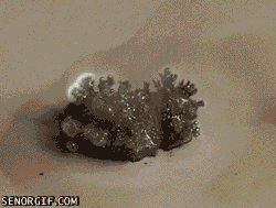 Amazing Incredible Chemistry GIFs - Lithium On Fire - Lazer Horse