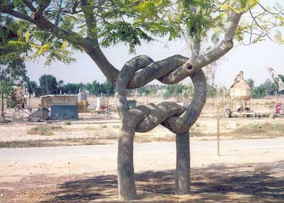 Arborsculpture: The Art Of Tree Shaping • Lazer Horse