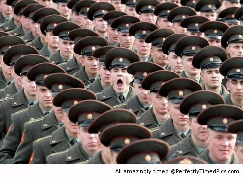 Funniest Pics Ever Best Lol- Bored Soldier - Lazer Horse