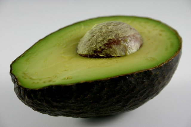 The More Than Humble Avocado - A History Of The Alligator Pear • Lazer ...