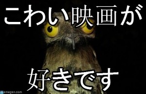The Potoo: Nature's Most Surprised Bird • Lazer Horse