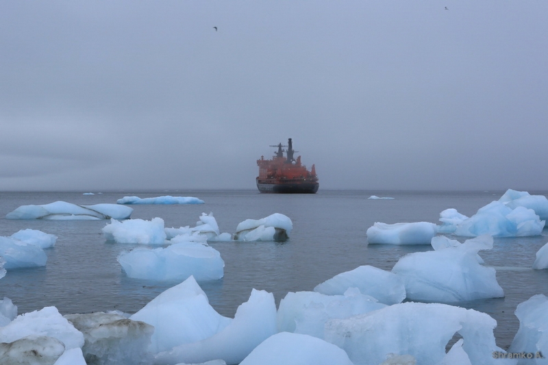 Beautiful Pictures From 100th Arctic Cruise To The North Pole • Lazer Horse