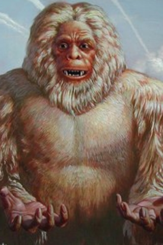 Brand New Yeti Footage • Lazer Horse