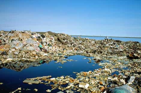 Great Pacific Garbage Patch - Pacific Trash Vortex - Rubbish - Lazer Horse