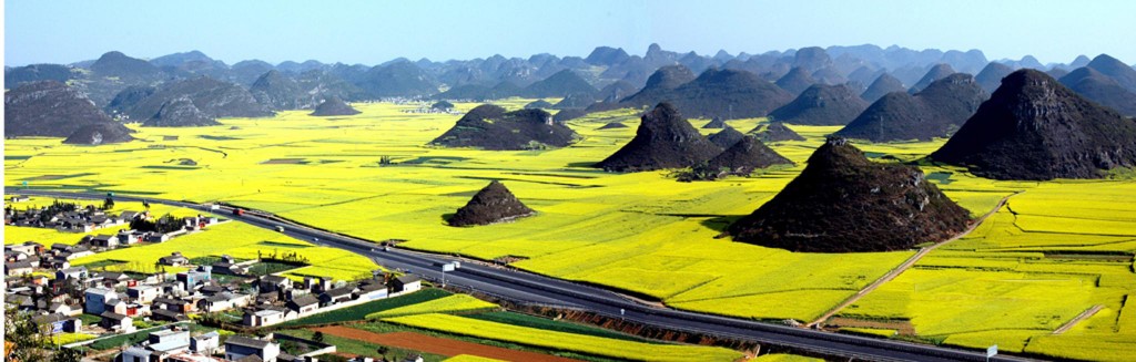 China's Luoping Ocean Of Flowers Looks Amazing • Lazer Horse