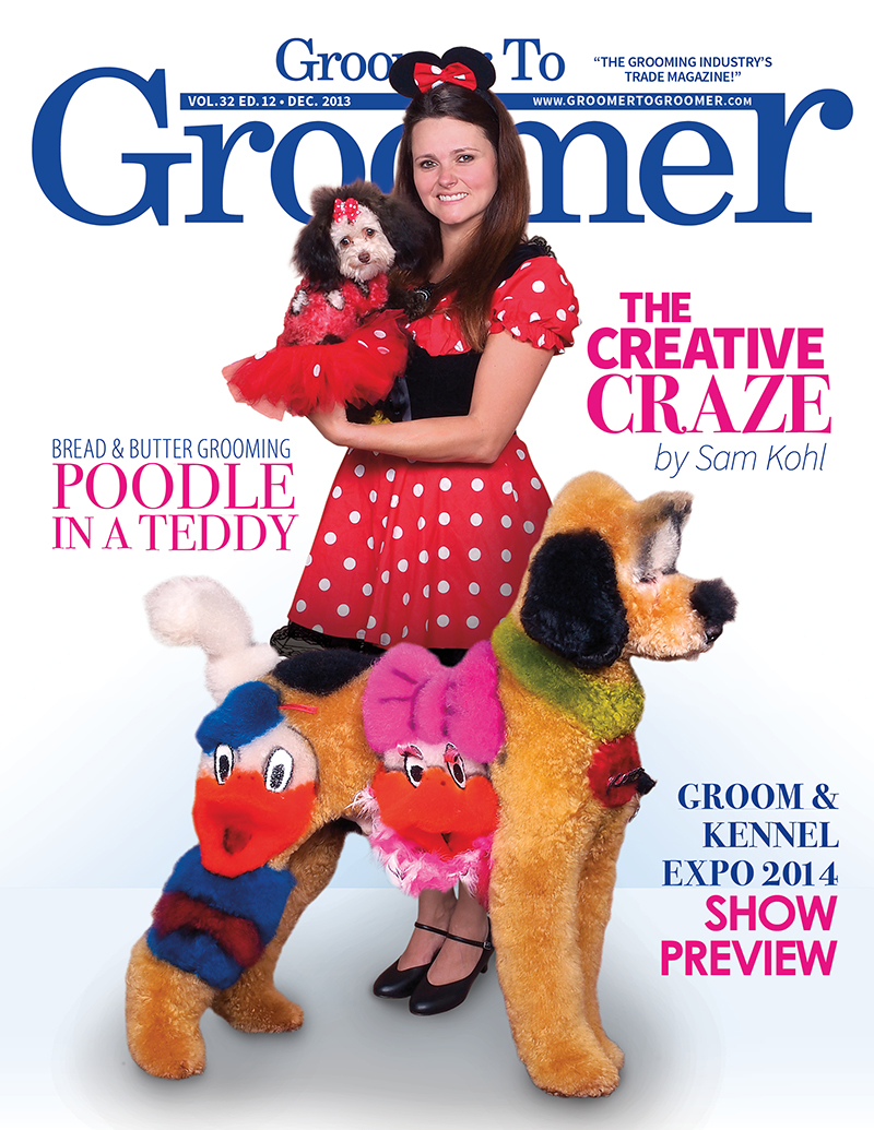 Groomer to groomer magazine - intergrooming - Disney - Lazer Horse