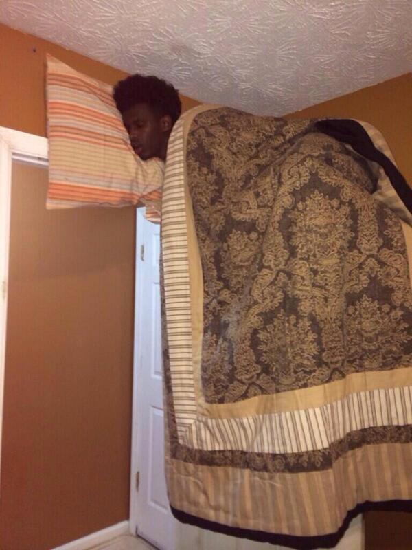 IncrediSelfies - Ceiling Sleeper - Lazer Horse