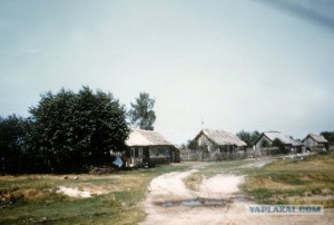 Old Photos From Russia • Lazer Horse