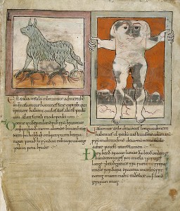 Medieval Monsters An Enjoyable Overview • Lazer Horse