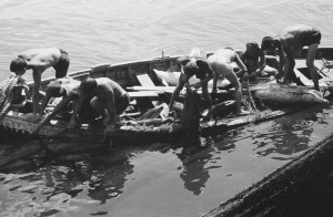 PHOTOS: The Dolphin Hunters of Krasnodar • Lazer Horse