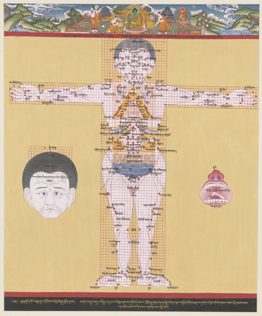 17th Century Anatomical Drawings From Tibet • Lazer Horse