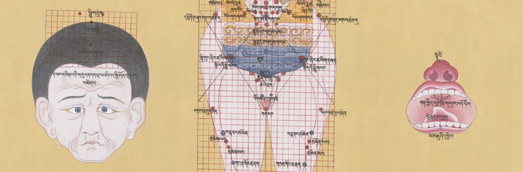 17th Century Anatomical Drawings From Tibet • Lazer Horse