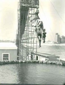Diving Horses Were All The Rage In The 1880’s • Lazer Horse