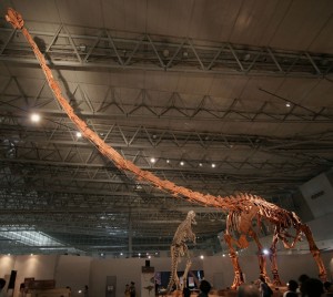 Qijianglong: New Dinosaur Species With Longest Neck Ever • Lazer Horse