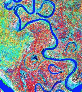 The Chemistry Of The Amazon Mapped • Lazer Horse