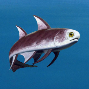 The History Of Life: Creatures From The Silurian • Lazer Horse