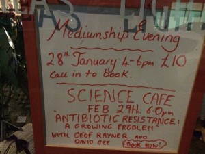 Bexhill-on-Sea: Shopfront Extravaganza • Lazer Horse