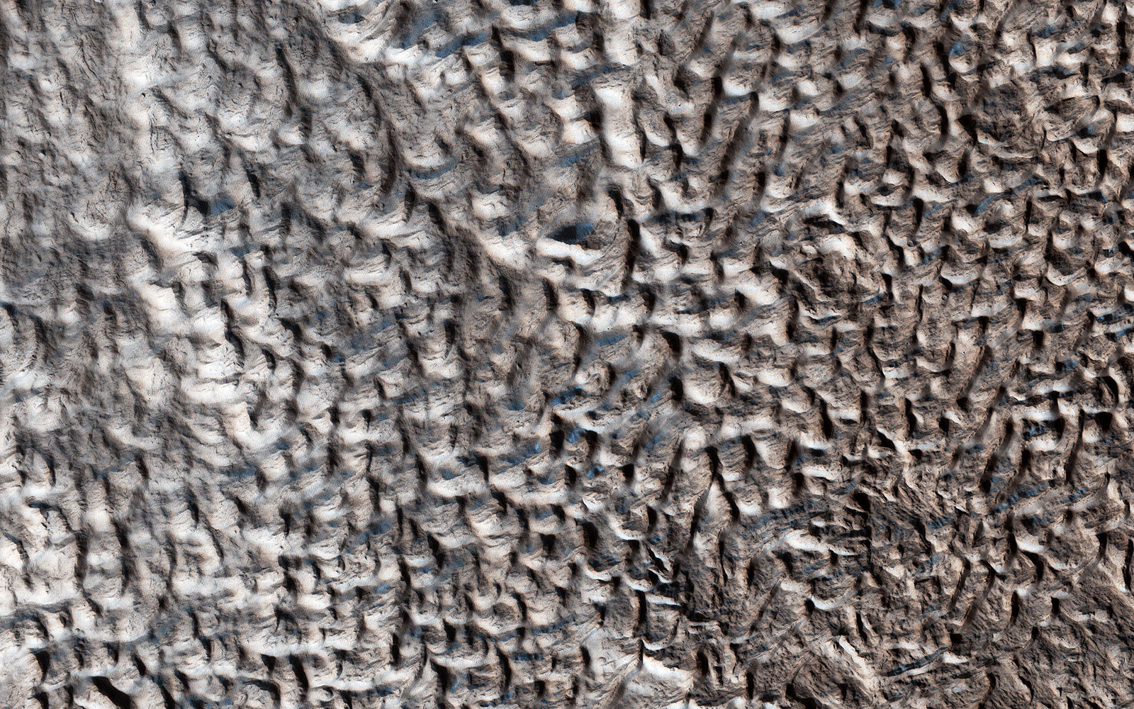 The Surface Of Mars: Incredible NASA • Lazer Horse visits Mars